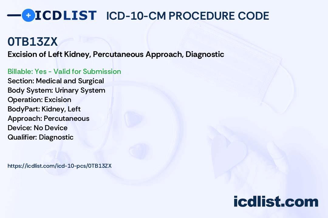 ICD-10-PCS Procedure Code 0TB13ZX - Excision of Left Kidney ...