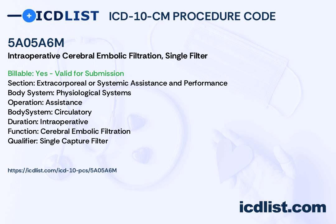 ICD-10-PCS Procedure Code 5A05A6M - Intraoperative Cerebral Embolic ...