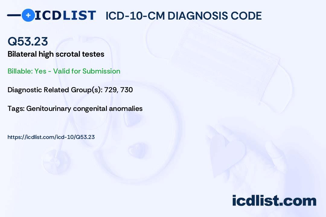 ICD-10-CM Diagnosis Code Q53.23 - Bilateral high scrotal testes