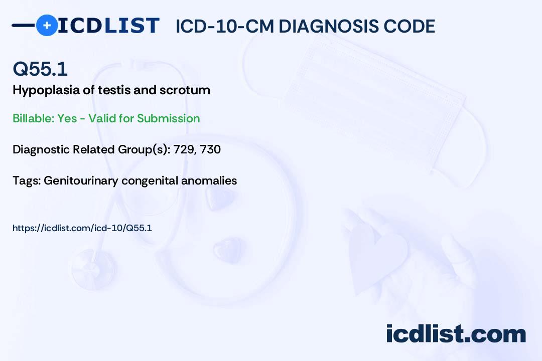 ICD-10-CM Diagnosis Code Q55.1 - Hypoplasia of testis and scrotum